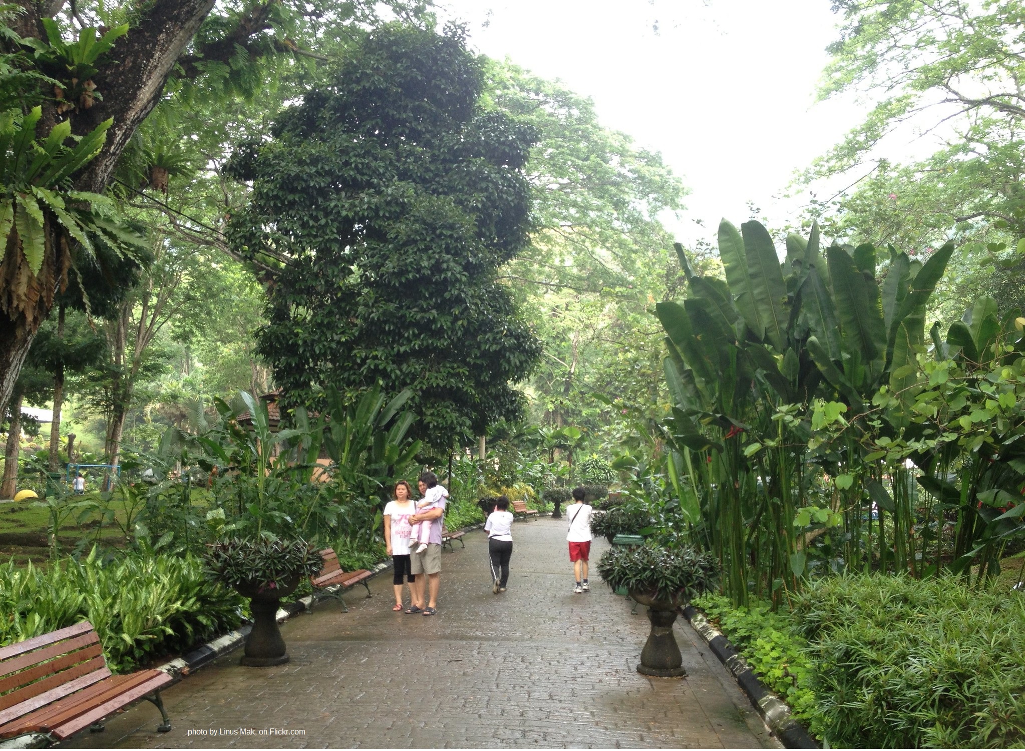 Penang Youth Park, also known as City Park, is an urban park in George ...